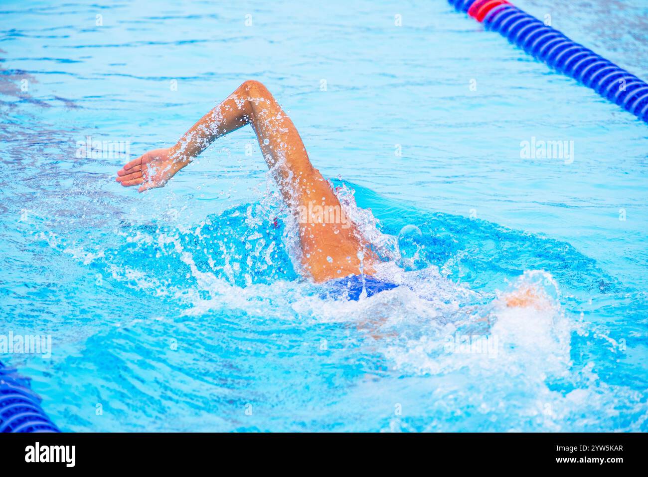 Unrecognizable male swimmer swimming in outdoor Olympic-sized swimming ...