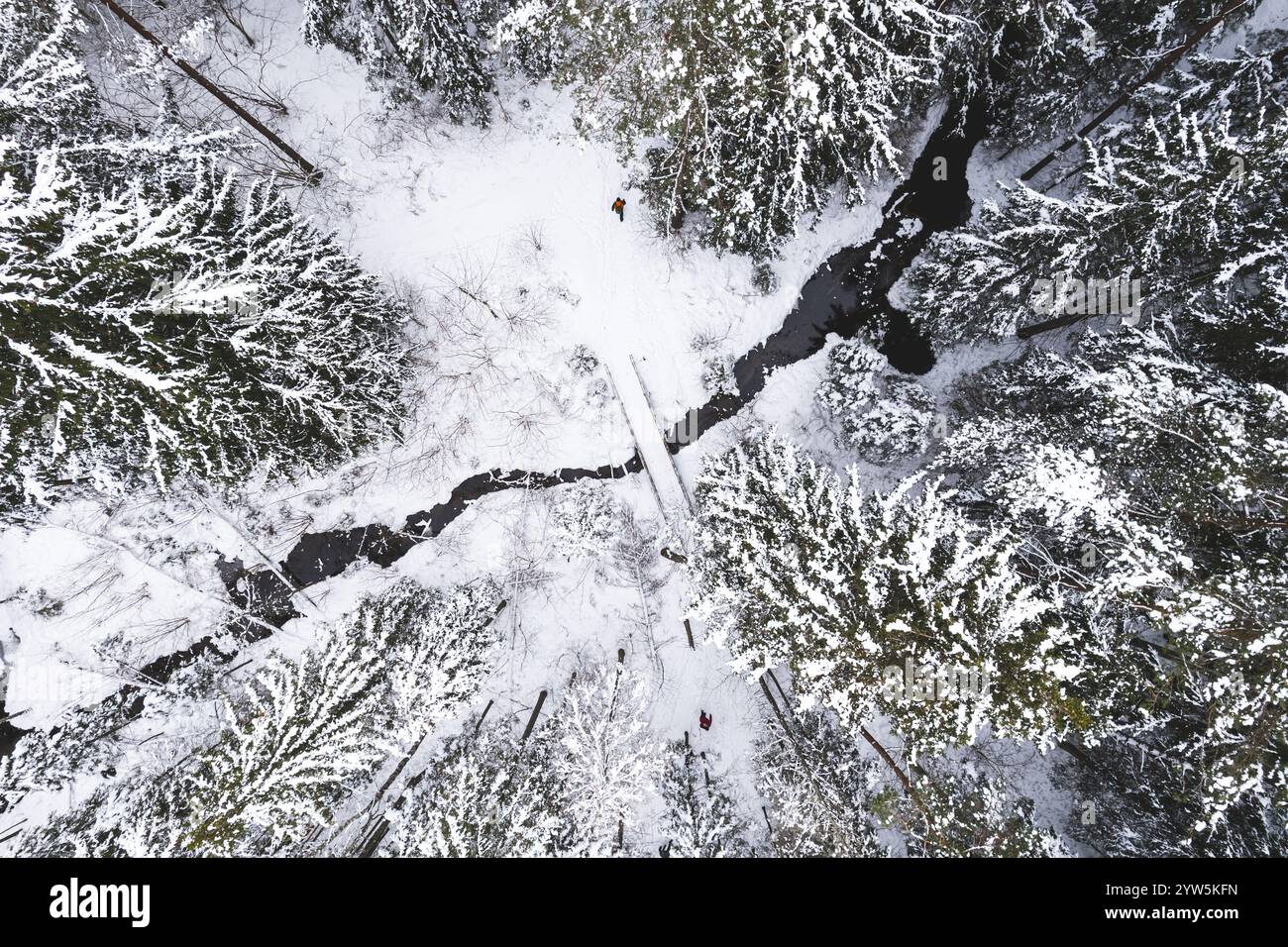 river in winter view from drone, outdoor frost forest landscape. High ...