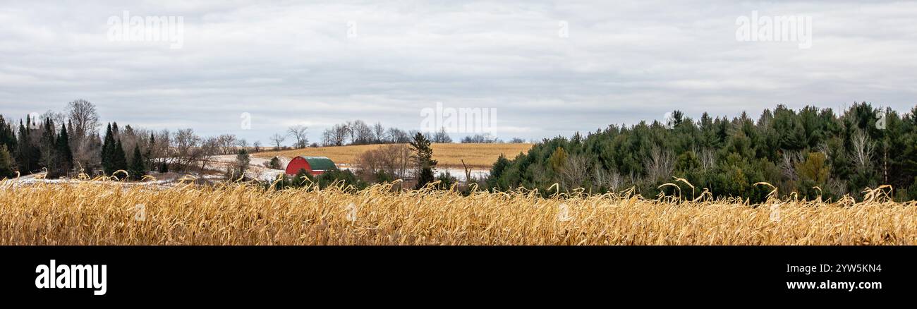 Wisconsin red barn with snow in December, panorama Stock Photo - Alamy