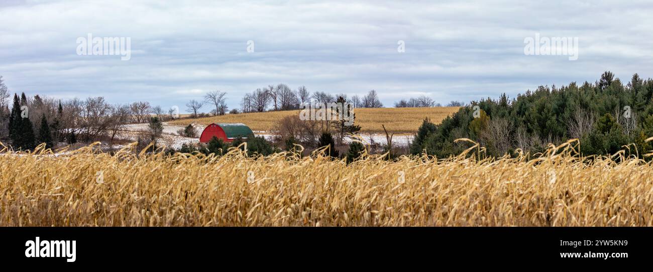 Wisconsin red barn with snow in December, panorama Stock Photo - Alamy