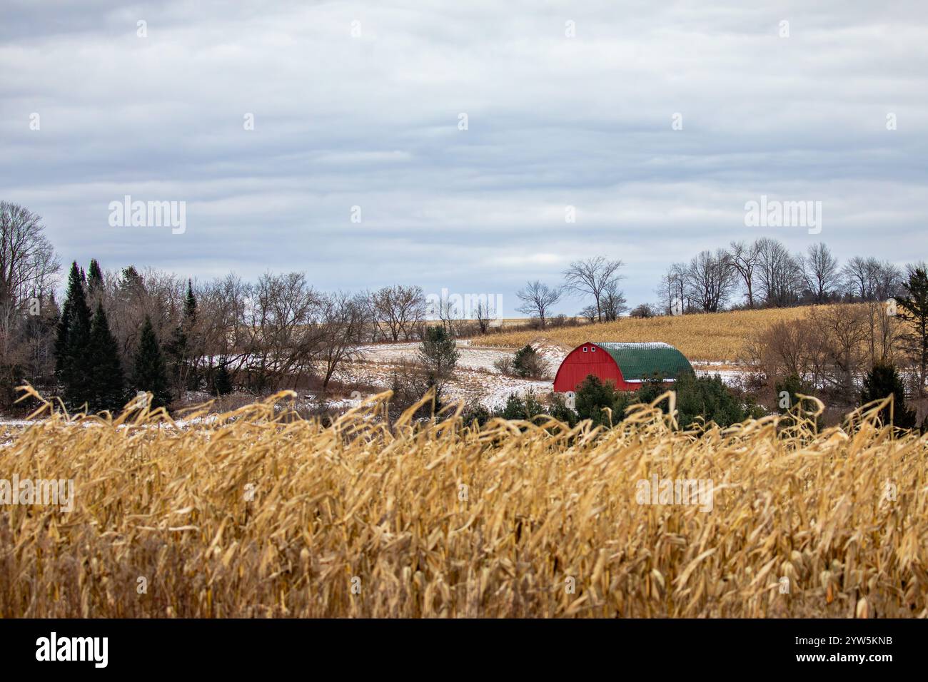 Wisconsin red barn with snow in December, horizontal Stock Photo - Alamy