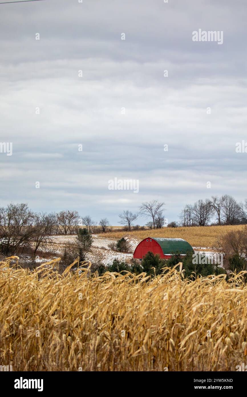 Wisconsin red barn with snow in December, vertical Stock Photo - Alamy