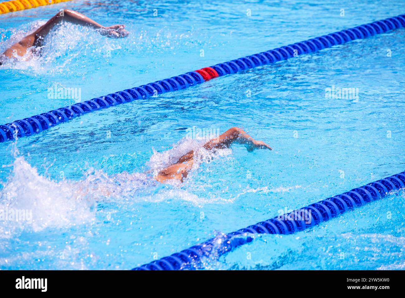 Unrecognizable swimmers swimming using freestyle stroke or forward crawl during swim race in an ...