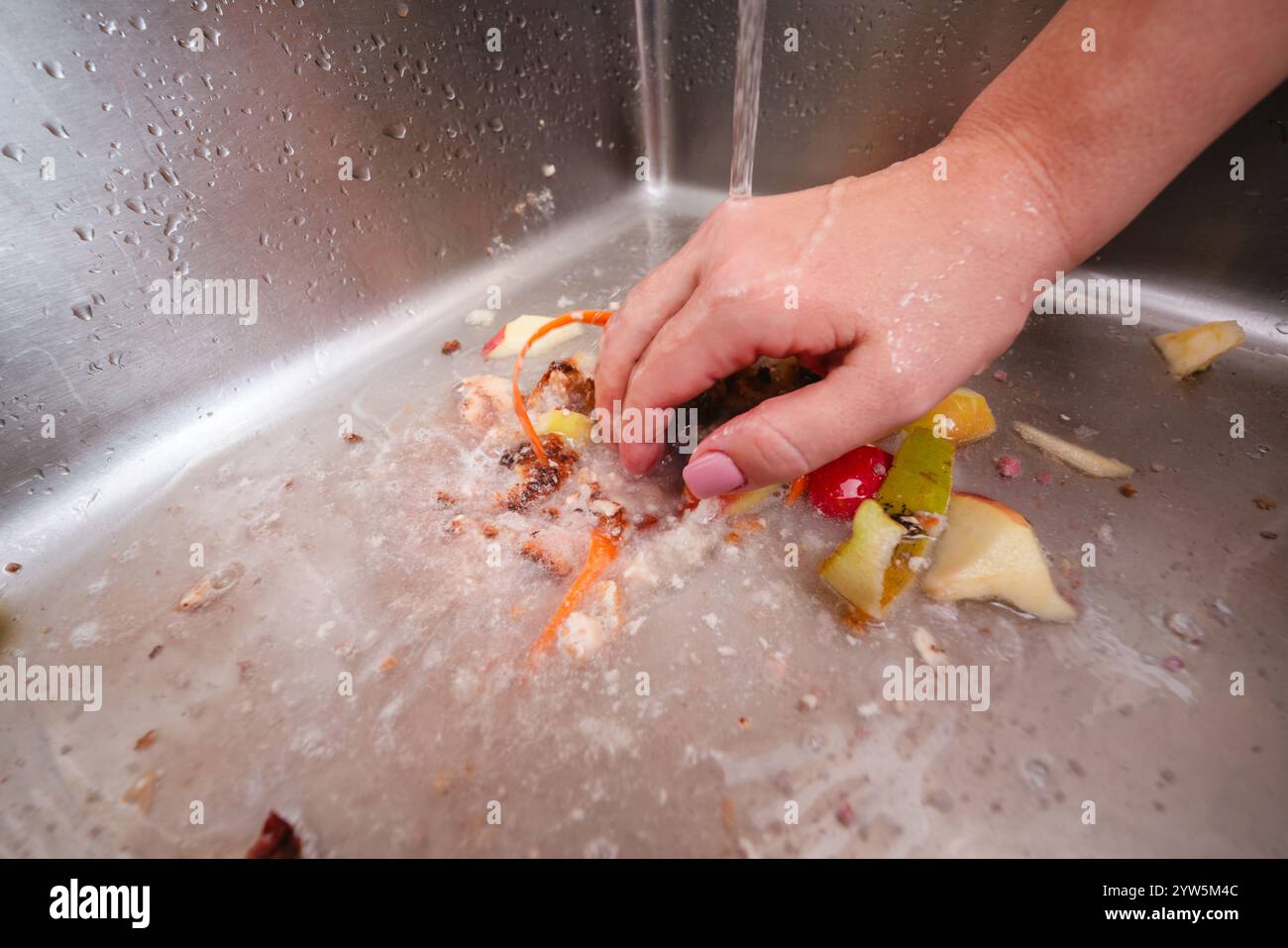 Hand removing food scraps with running water and disposer in a kitchen ...