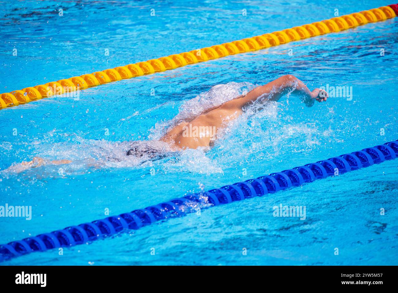 Unrecognizable swimmer swimming freestyle stroke or forward crawl ...