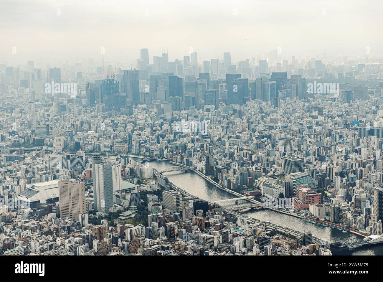 Top View of Tokyo from Tokyo Skytree Observation Deck Stock Photo - Alamy