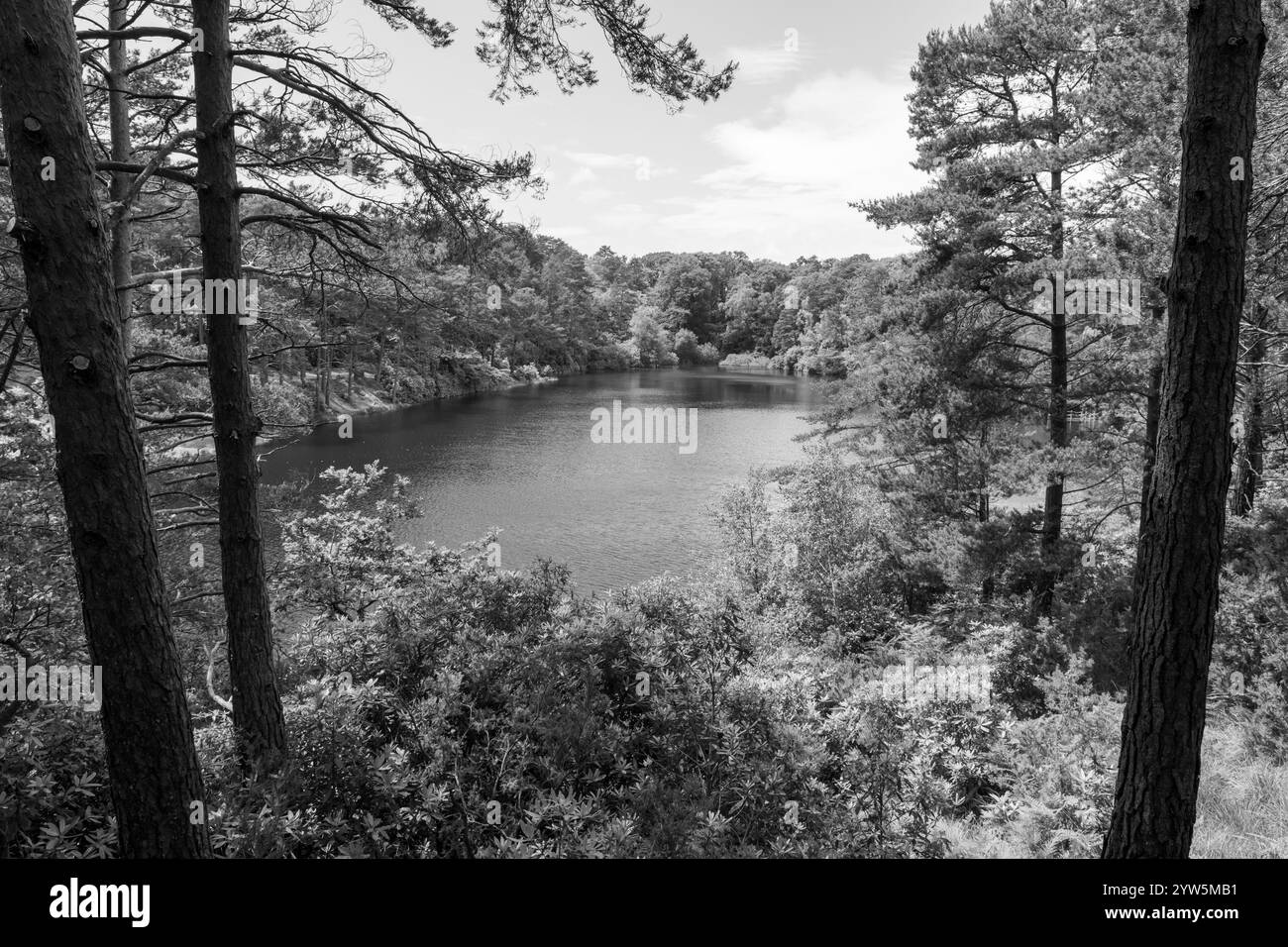 Photo of the Blue Pool in Dorset Stock Photo - Alamy
