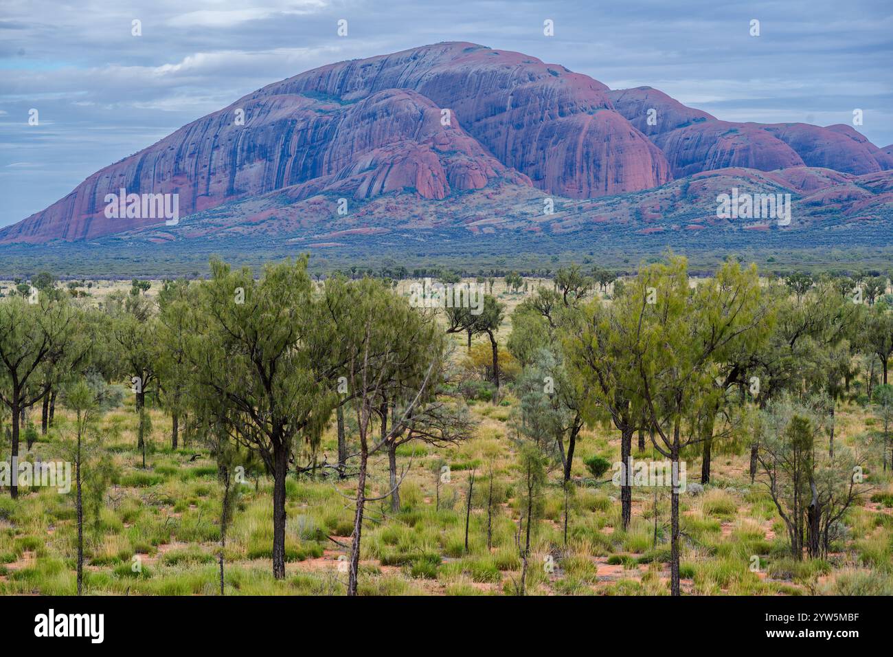 A telephoto image of the Kata Tjuta Rock Formation near Ayers Rock ...