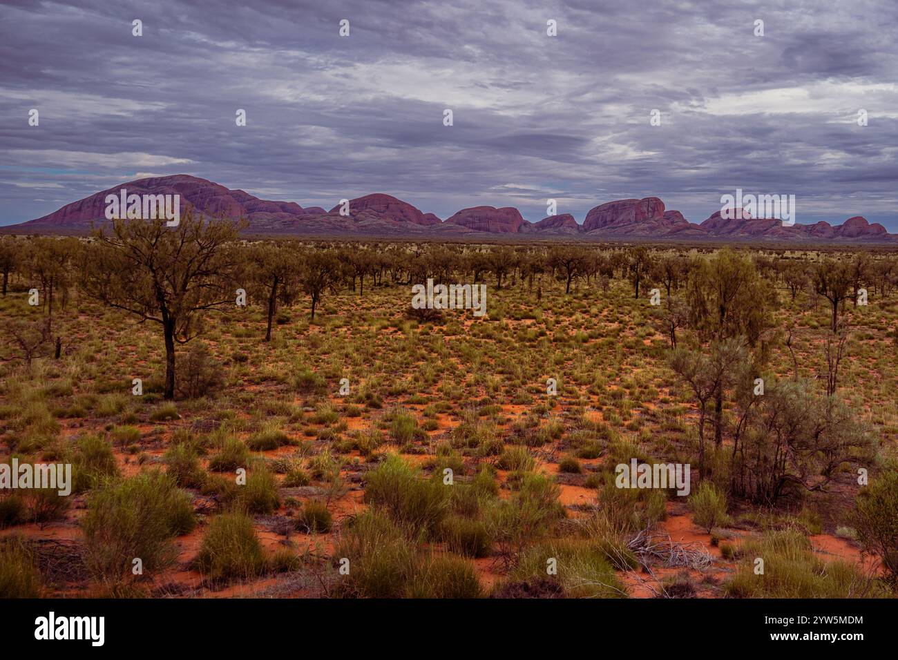 A wide angle image in the Outback that includes the Kata Tjuta Rock ...