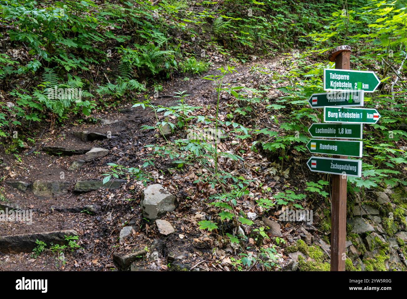 Talsperre kriebstein hi-res stock photography and images - Alamy