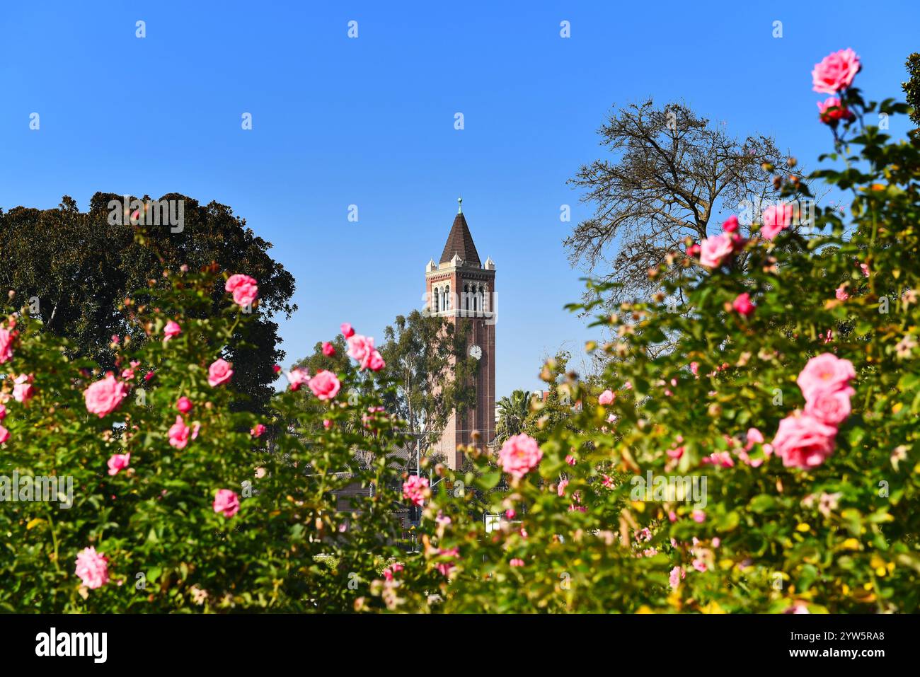 LOS ANGELES, CALIFORNIA - 4 DEC 2024: The clock tower of Mudd Hall of Philosophy at USC the ...