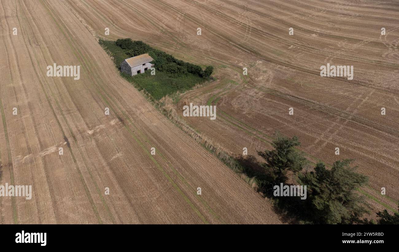 Aerial view of a harvested field with an abandoned barn surrounded by ...