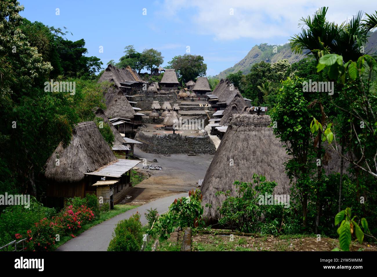 Bena Tradition Village with Reed Thatched Houses of the Ngada Tribe ...