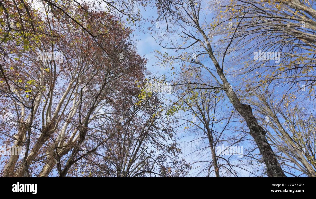 Hiker's point of view along the Parque Termal de Pedras Salgadas ...