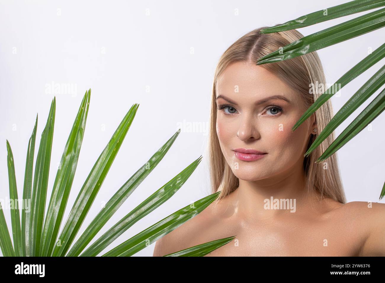 The Natural Beauty with Tropical Elements features prominently in ...