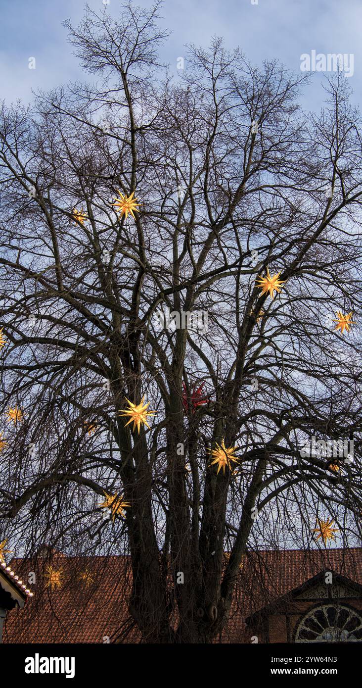 Tree with big yellow stars in the shape of a Christmas garland Stock ...