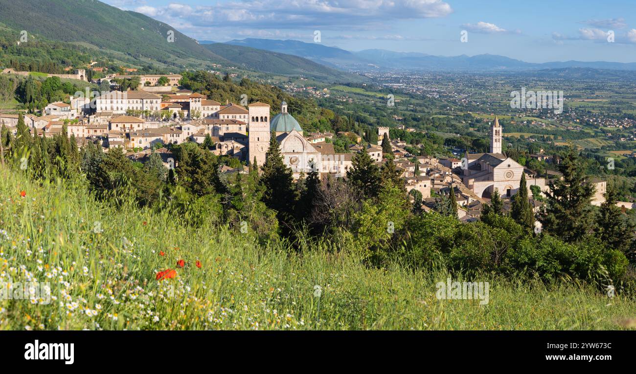 Assisi - The panorama of the town with the Cattedrale of San Rufino and ...