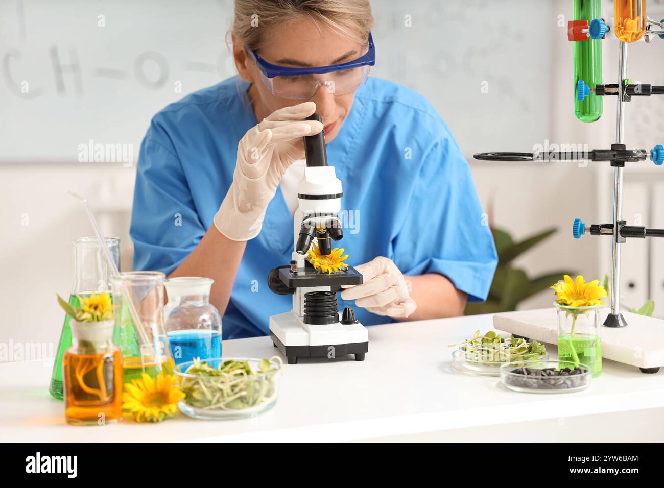 Female scientist with flasks of samples, sprouts, seeds and microscope ...