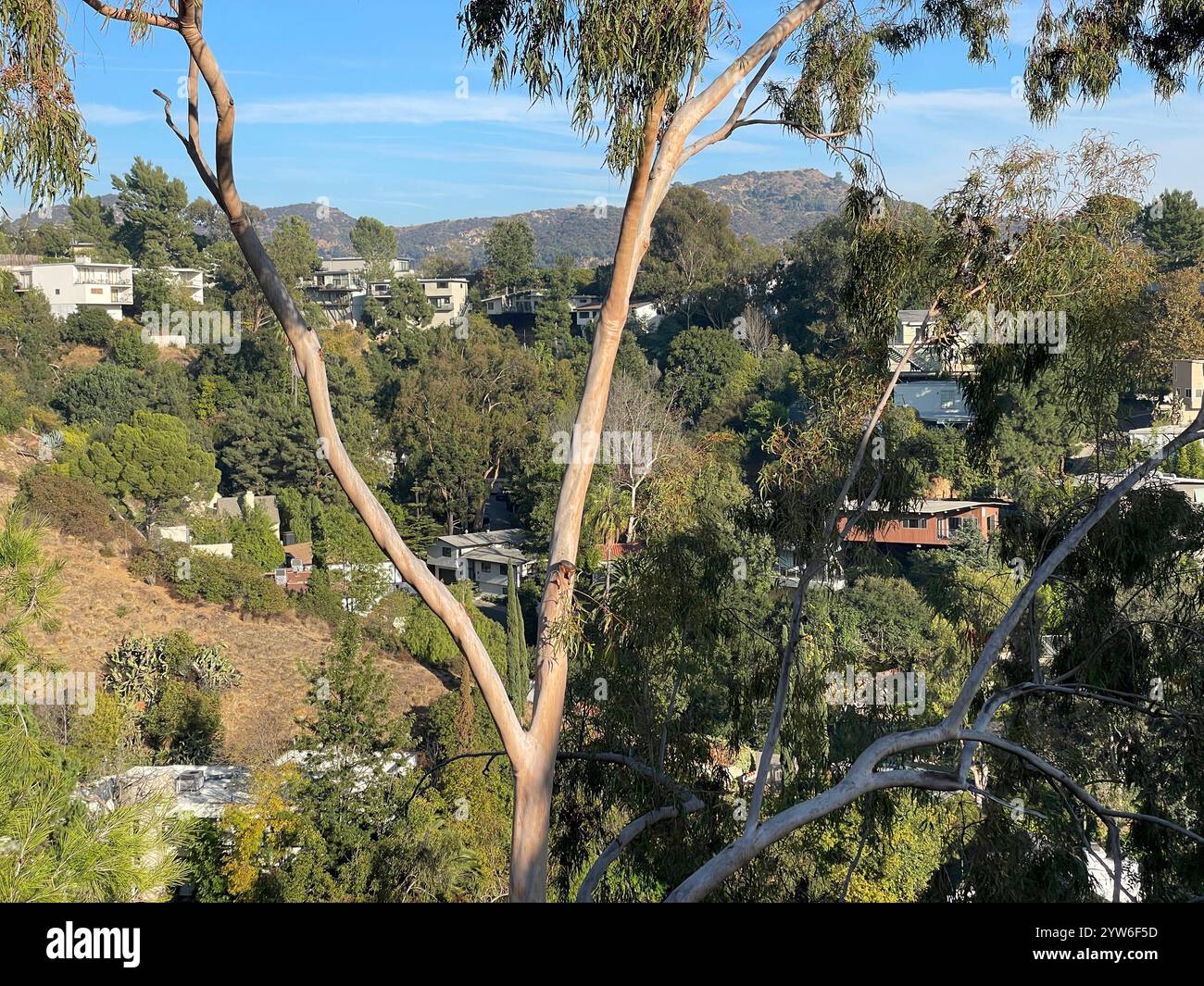 HIllside homes in the Beachwood Canyon neighborhood of the Hollywood ...