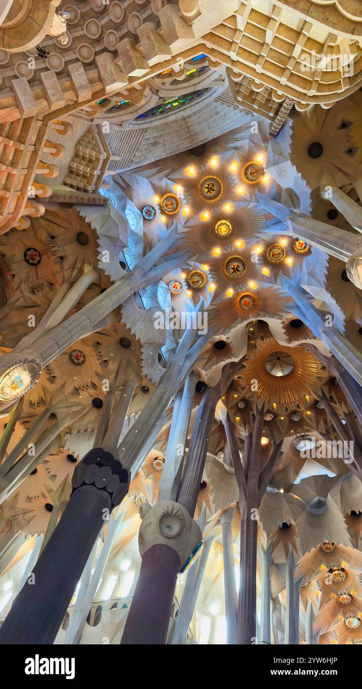 View of famous ceiling master piece created by famous architecture ...