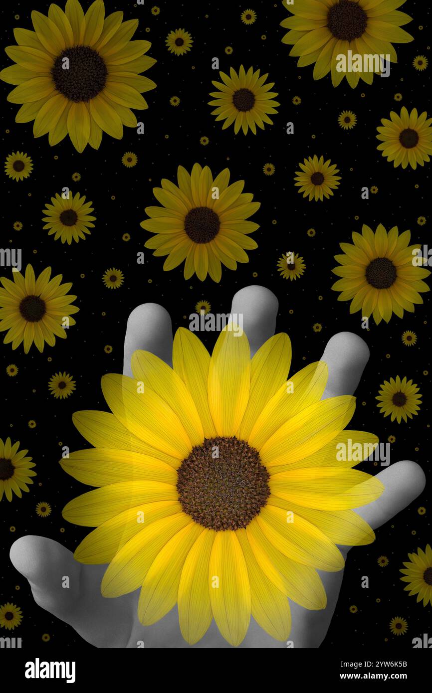 I want this one Stock Photo - Alamy