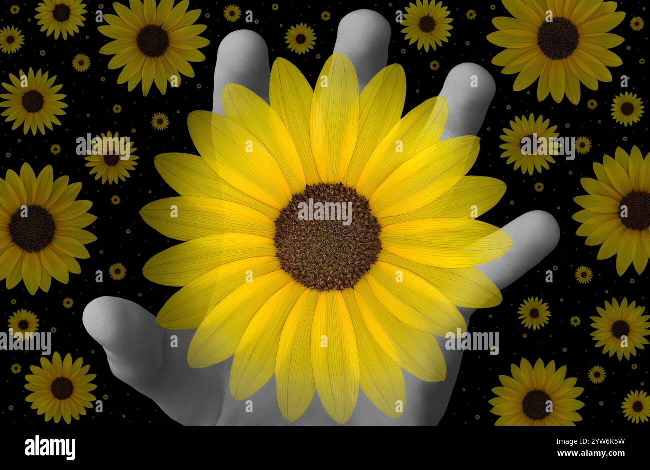 I want this one Stock Photo - Alamy