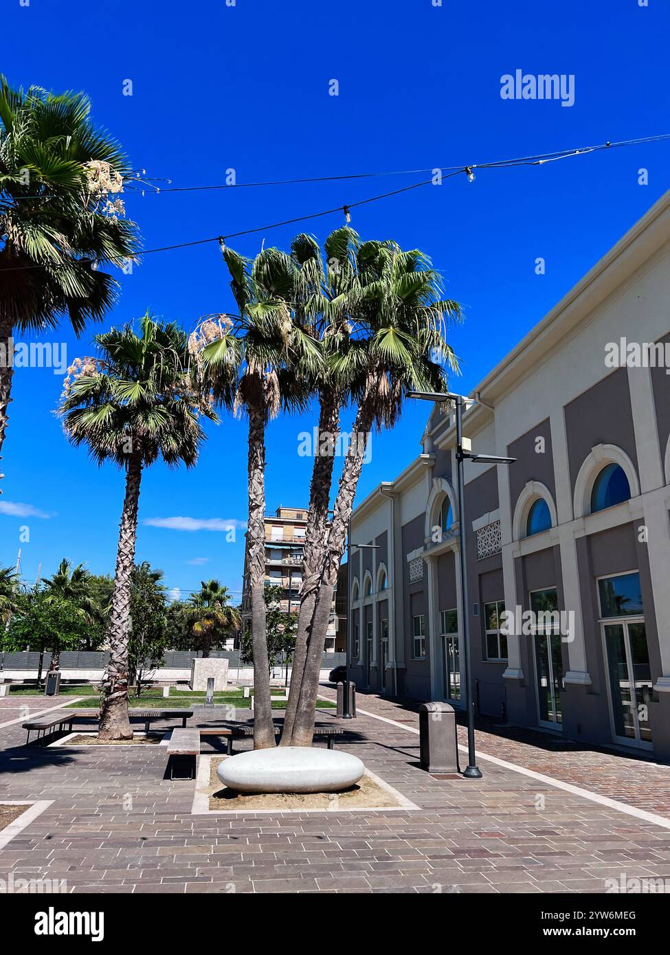 A sunlit urban plaza featuring tall palm trees alongside a modern ...