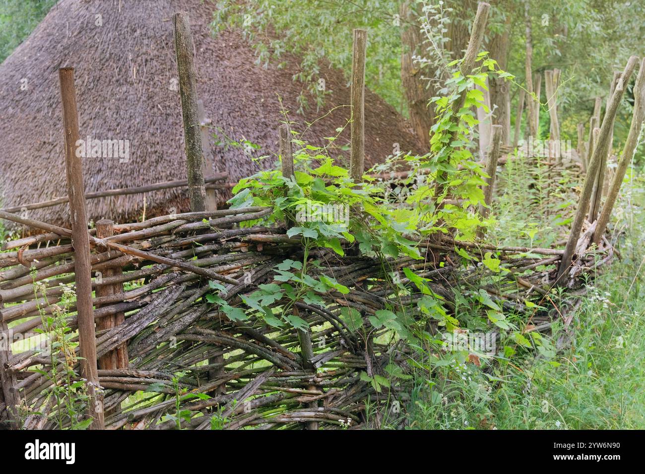 Traditional wooden farmhouse. Village ethnographic museum. Vintage ...