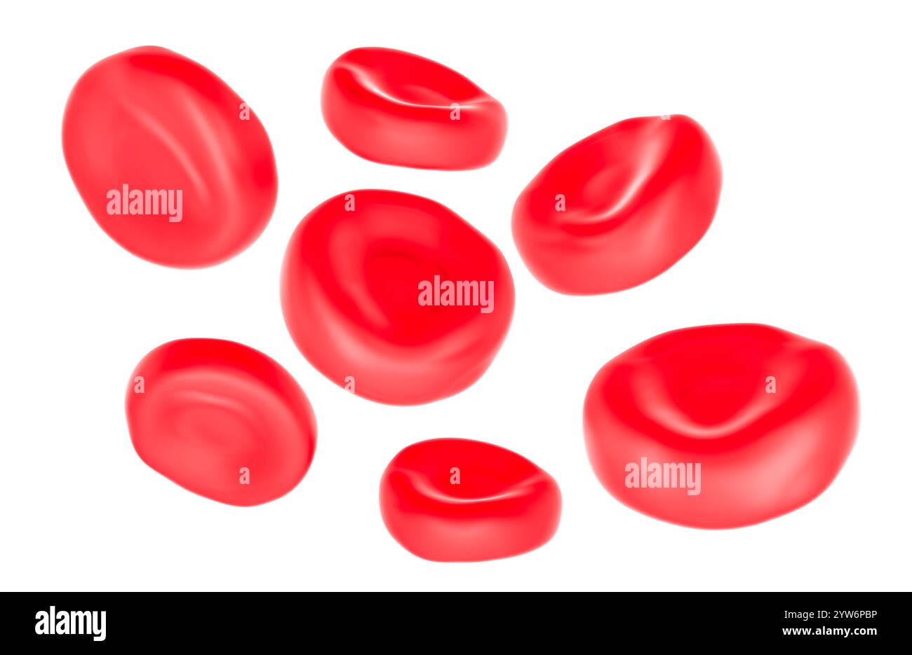 Red blood cells, erythrocytes. 3D rendering isolated on white ...