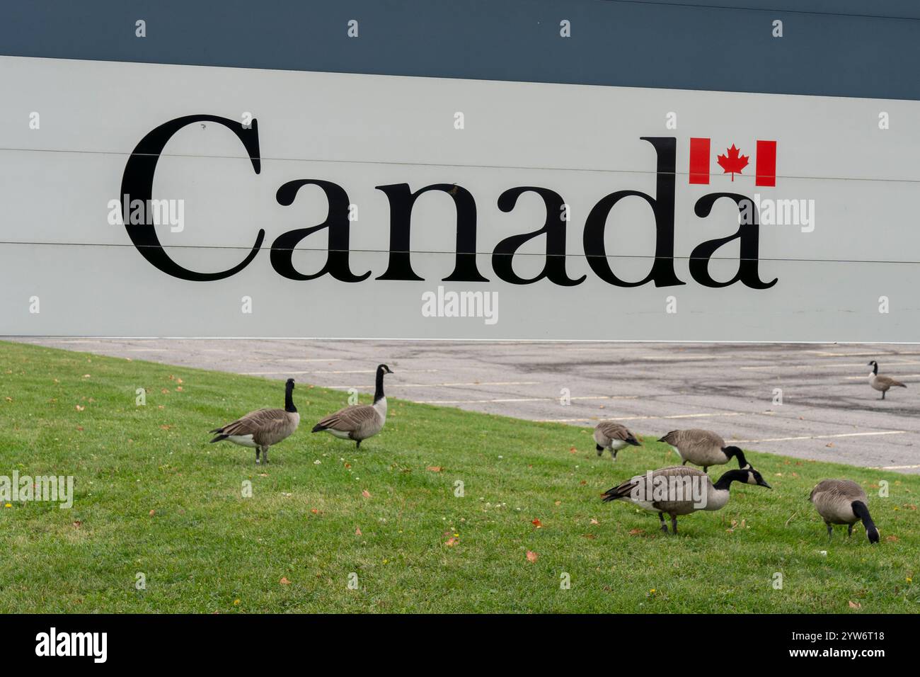 Canadian government logo hi-res stock photography and images - Alamy