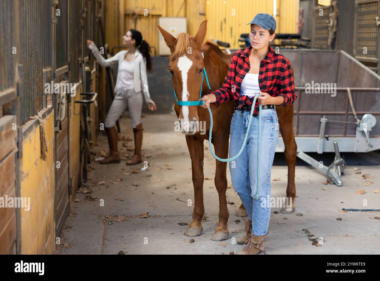 Woman leading horse stable corridor hi-res stock photography and images ...