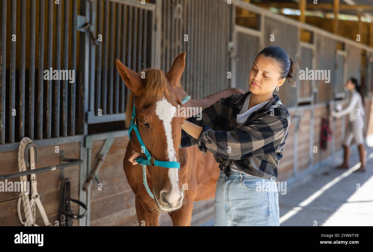 Young woman leading horse out of stable Stock Photo - Alamy
