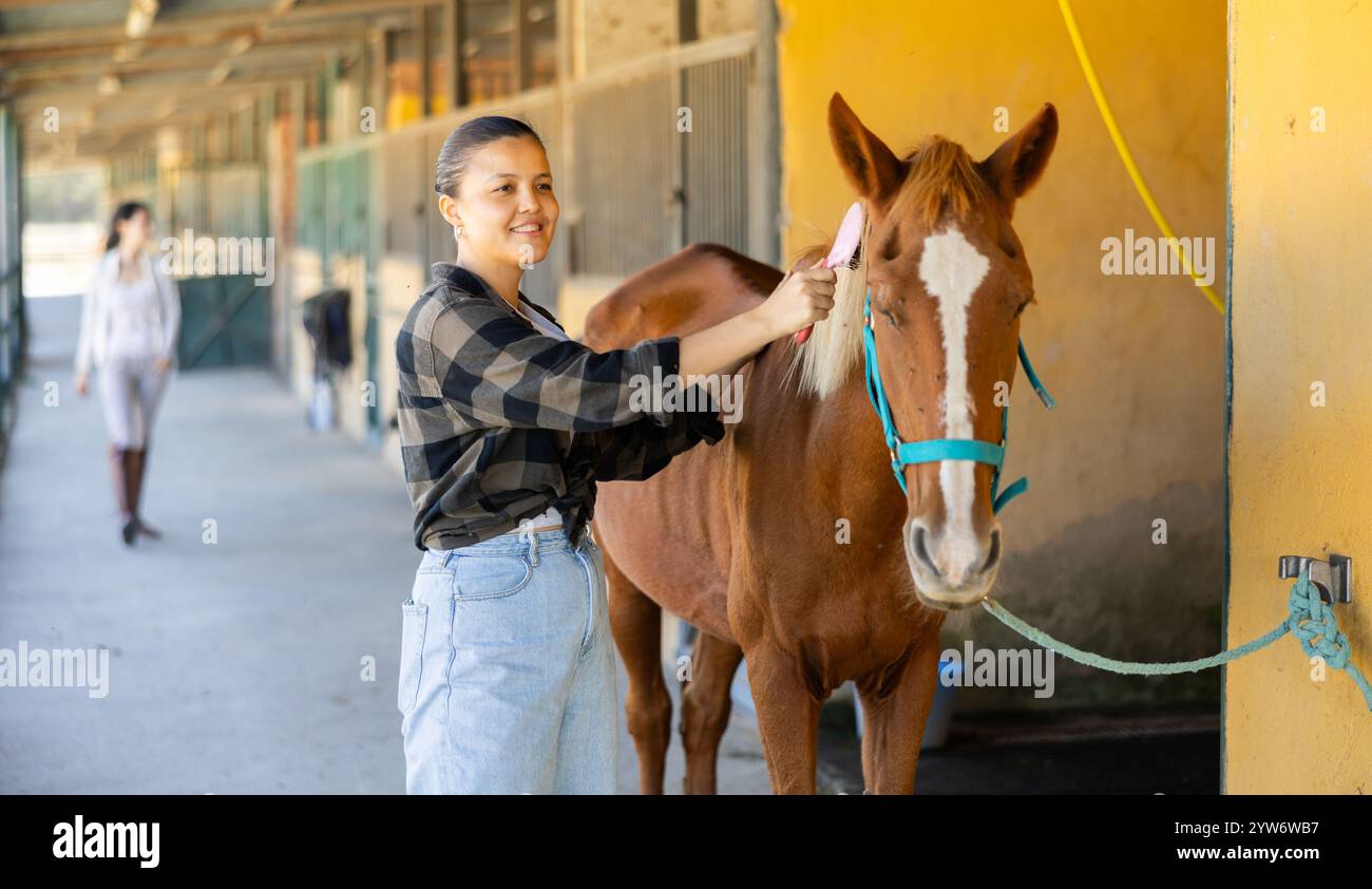 Young woman combing horse mane Stock Photo - Alamy
