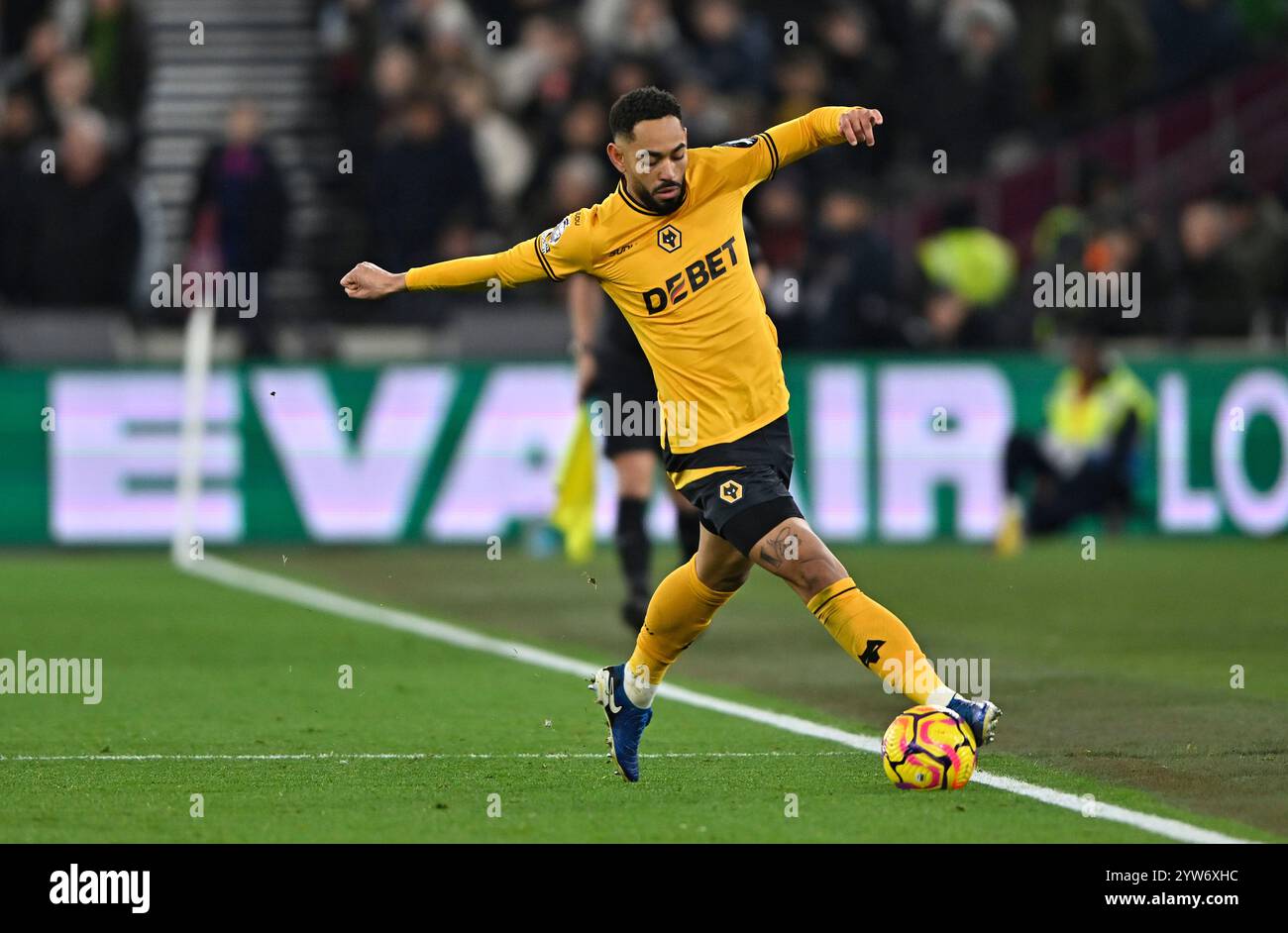 Wolves 2024 hi-res stock photography and images - Alamy