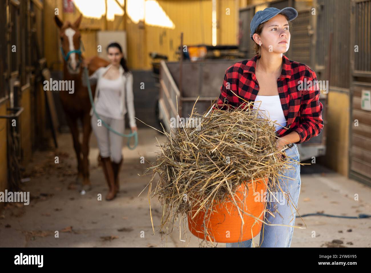 Young woman with hay in bucket Stock Photo - Alamy