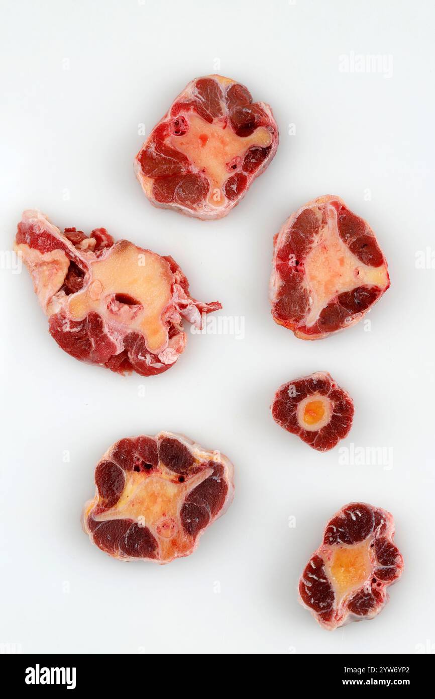 Fresh Raw Beef Oxtail Cut on White Table Stock Photo - Alamy
