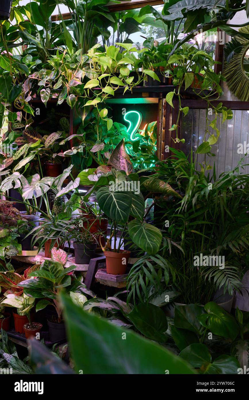 Vibrant and Lush Tropical Plants Spotlighted by a Stylish Neon Sign ...