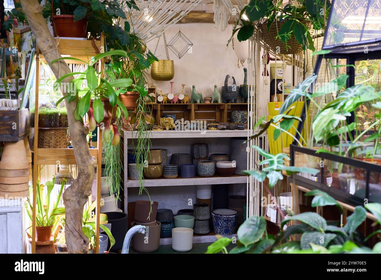 Charming Greenhouse Display Featuring Unique Planters and Lush, Green ...