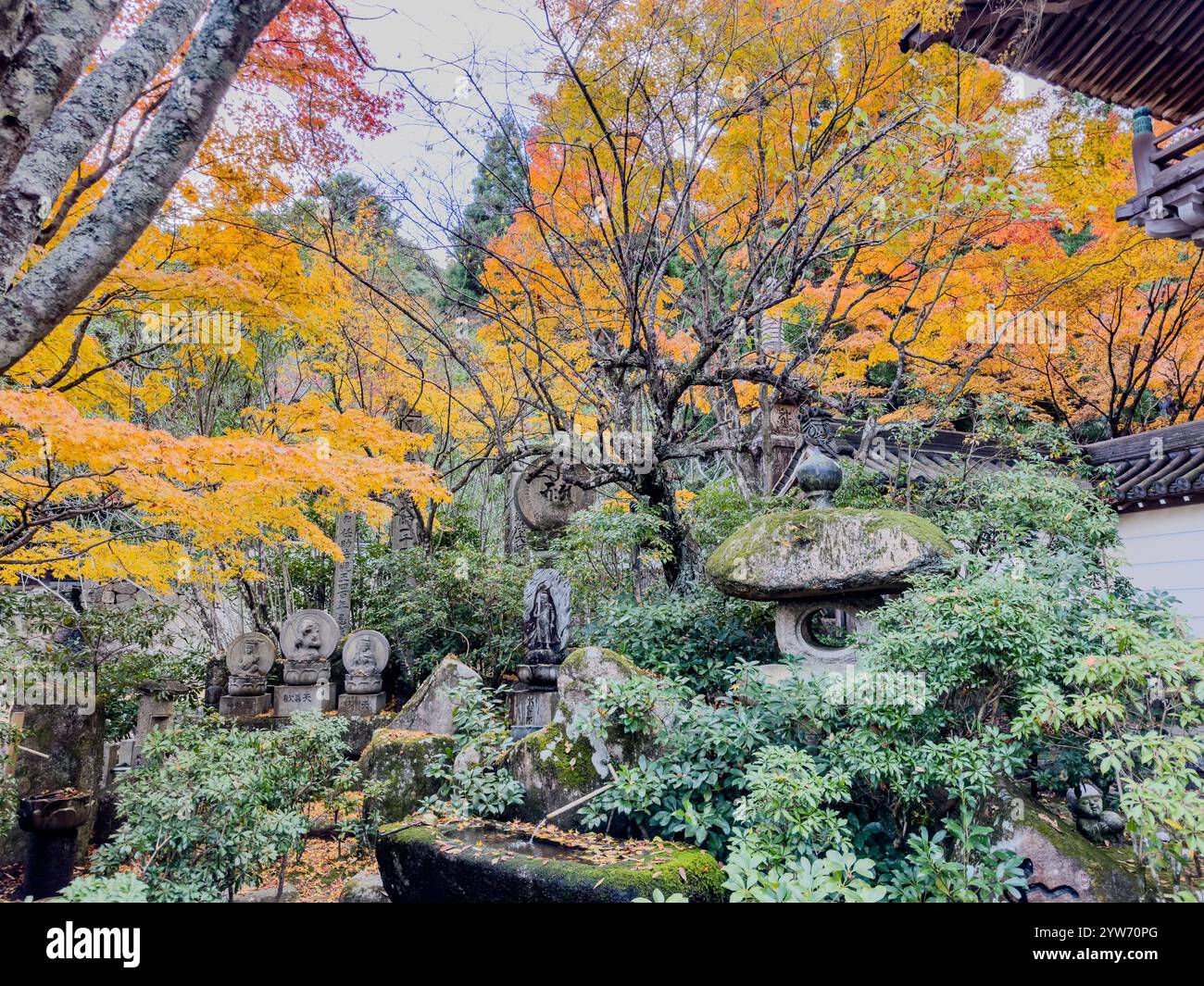Title: “Autumn Splendor in a Japanese Temple Garden with Stone ...