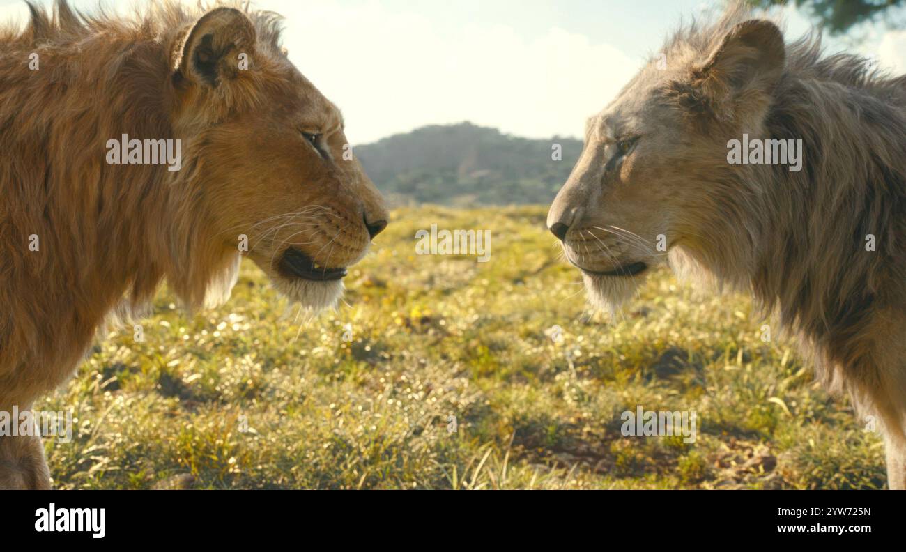 MUFASA: THE LION KING, from left: Mufasa (voice: Aaron Pierre), Taka ...