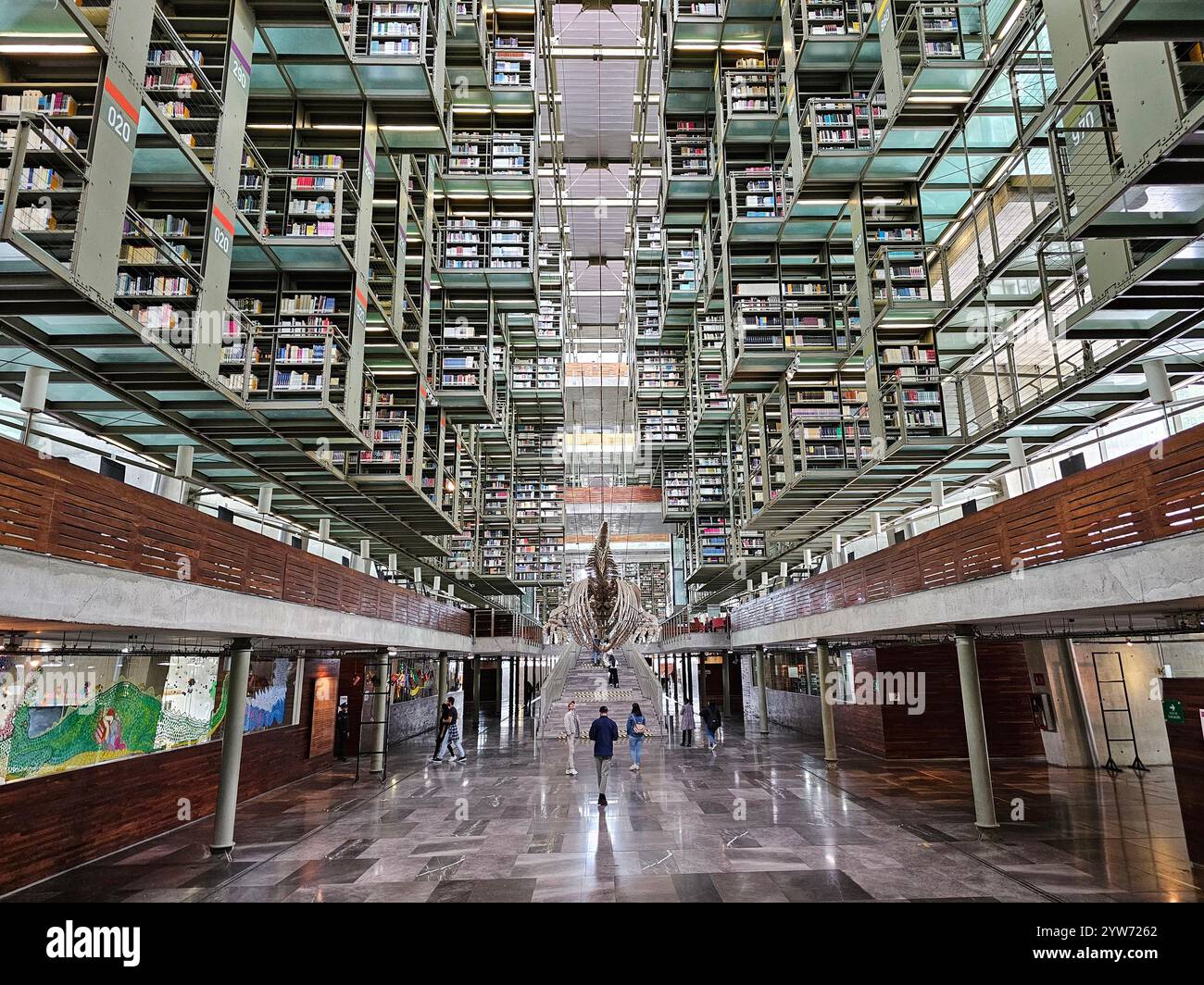 Mexico City, Mexico - Nov 20 2024: Gray whale skeleton in the ...