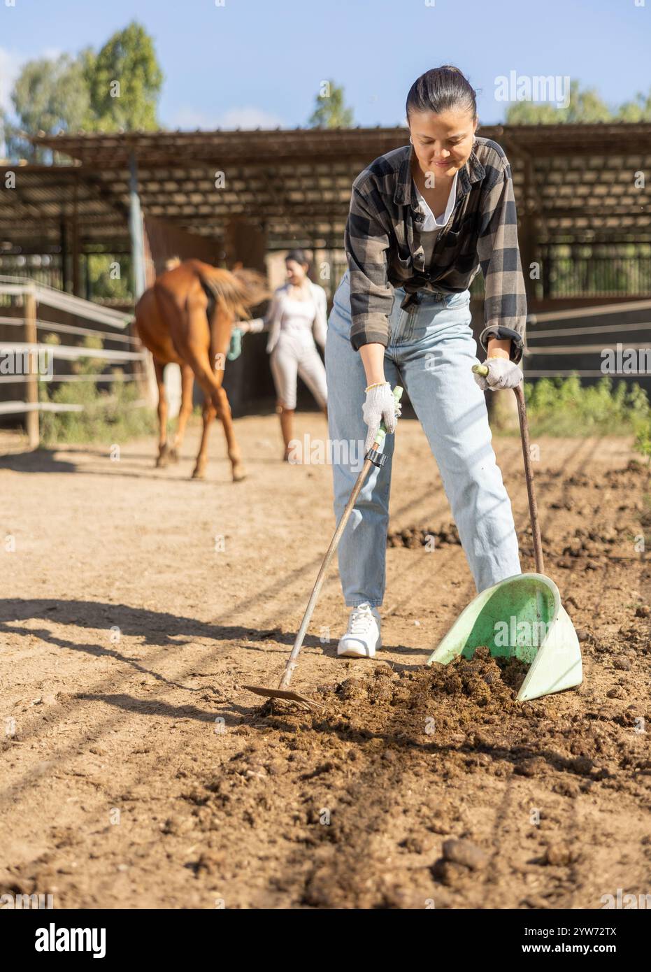 Young woman cleaning manure in horse pen Stock Photo - Alamy