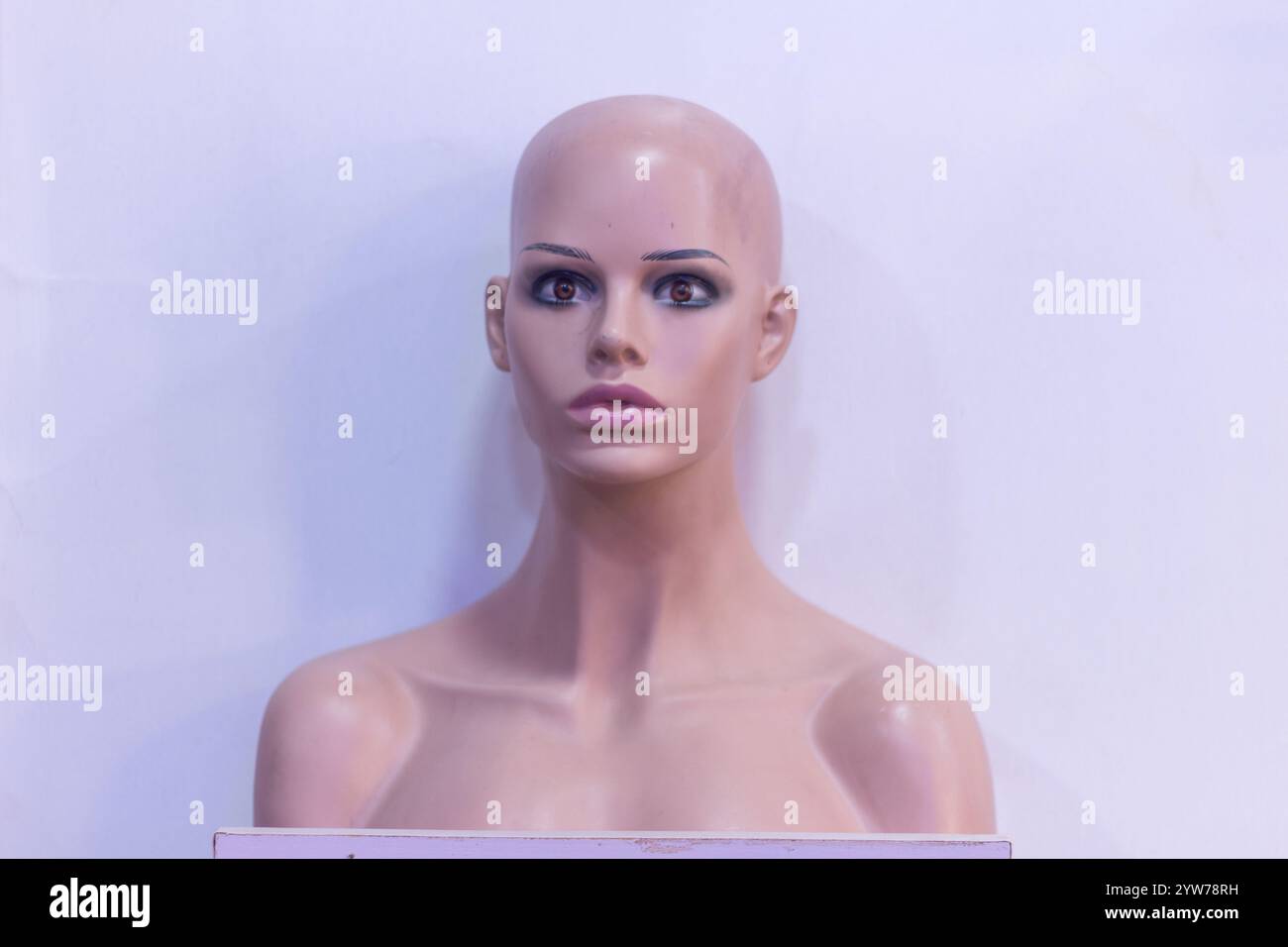 bald mannequin bust against clean white background Stock Photo - Alamy