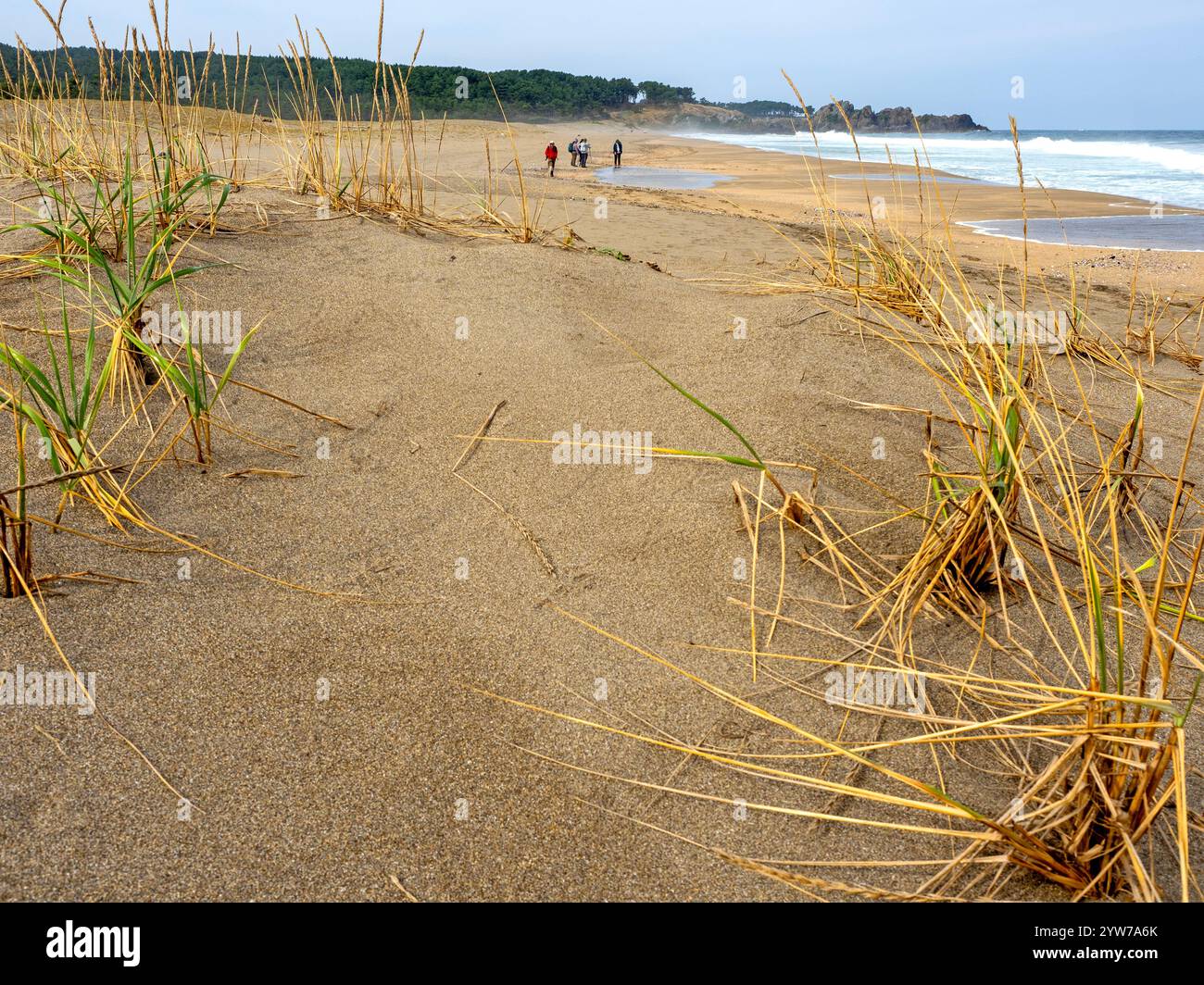 Osuka kaigan coast hi-res stock photography and images - Alamy