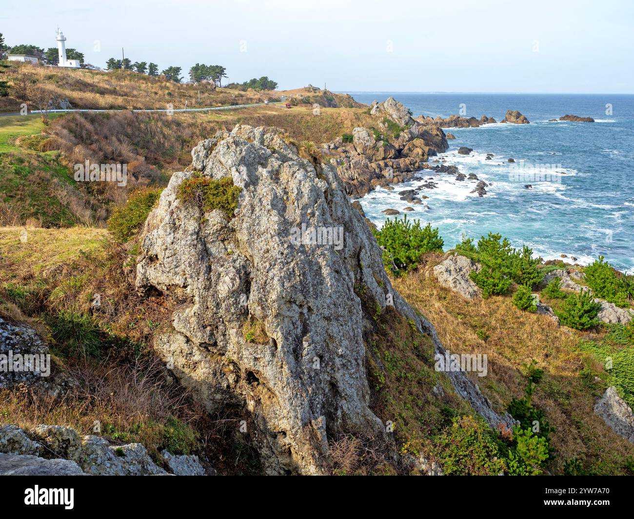 Toudai hi-res stock photography and images - Alamy