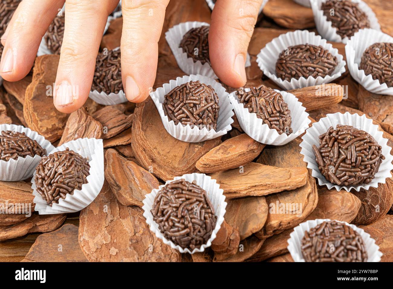 Male hand picking up a Brazilian chocolate truffle over small tree bark ...
