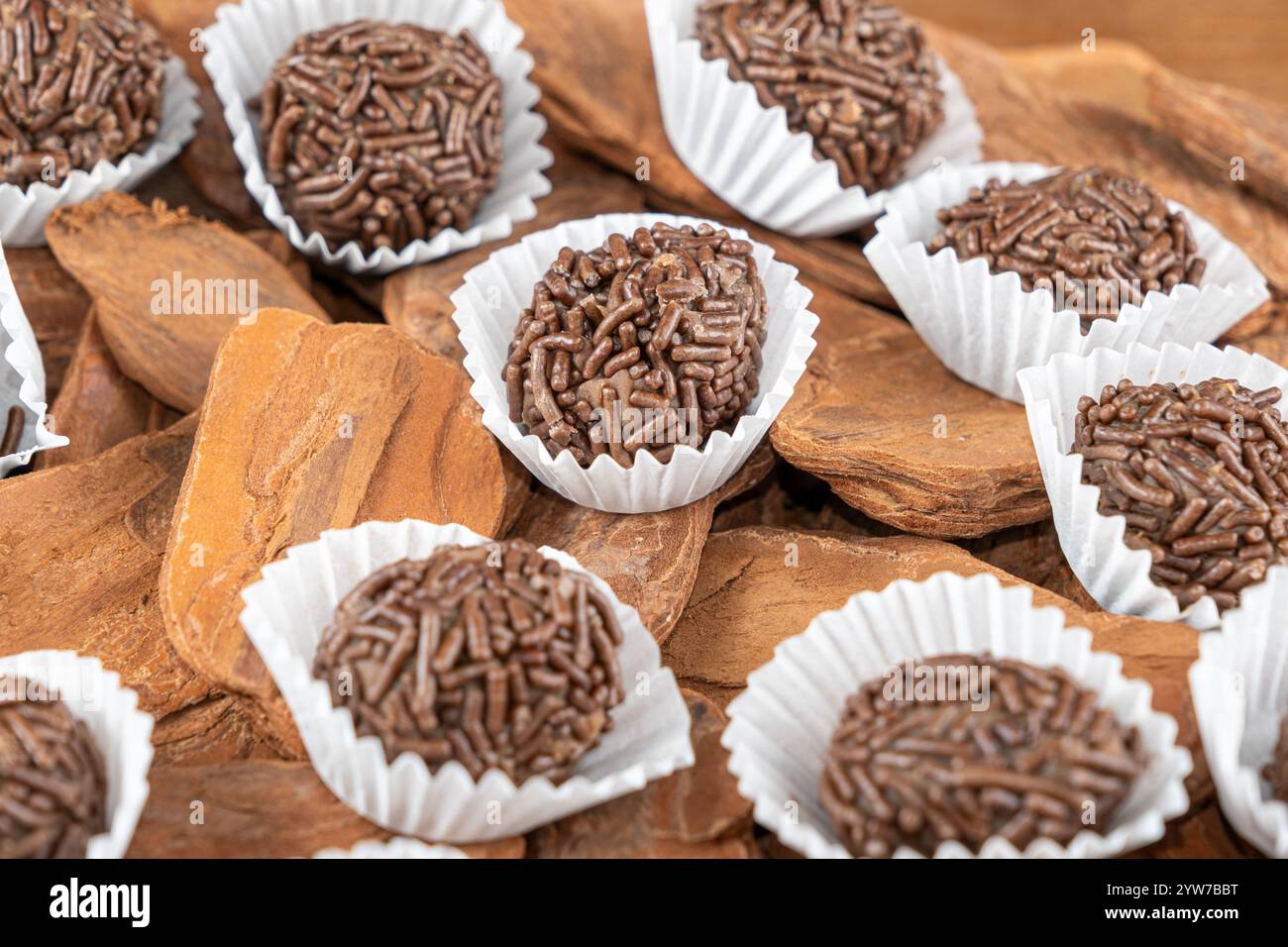 Brazilian chocolate truffle on small tree bark. Traditional Brazilian ...