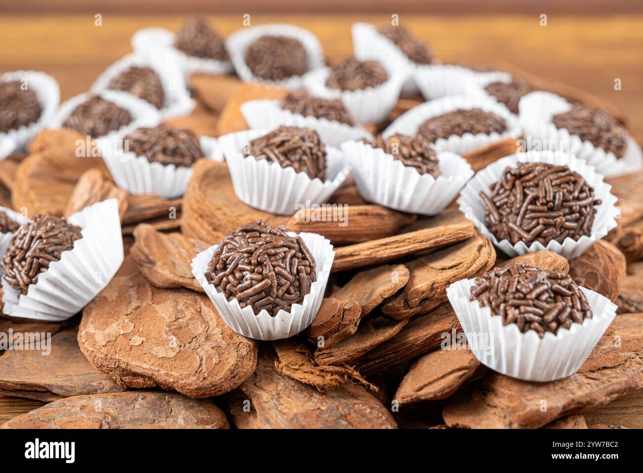 Brazilian chocolate truffle on small tree bark. Traditional Brazilian ...