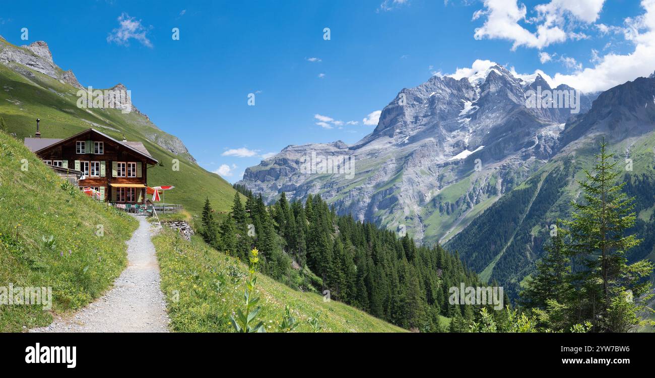 The walliser alps with the Matterhorn peak over the Mattertal valley ...