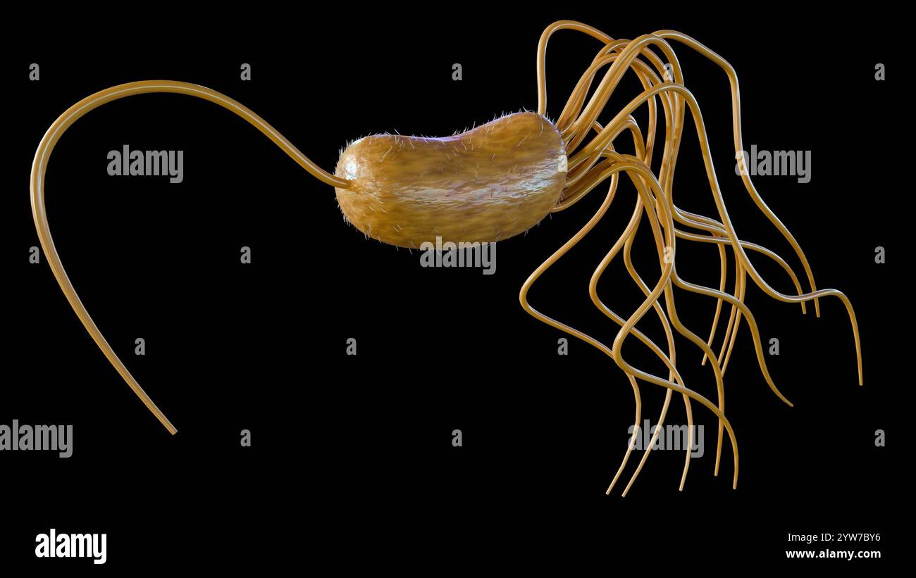 Rounded morphology hi-res stock photography and images - Alamy